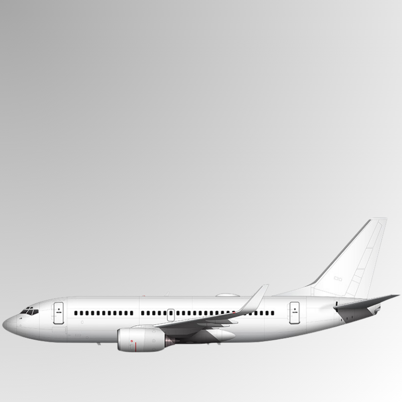 737 – Whaletail Sales